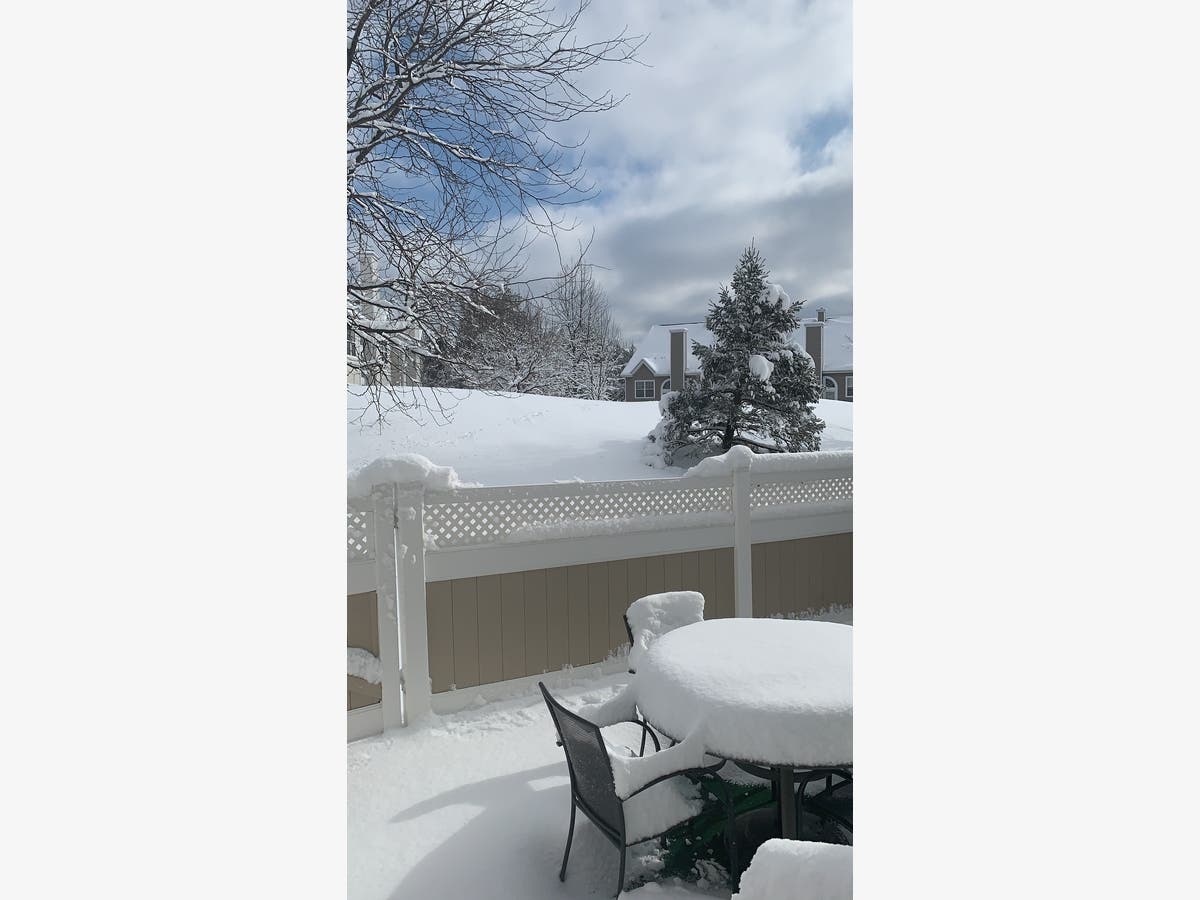 Winter Beauty Captured In Basking Ridge | Basking Ridge, NJ Patch