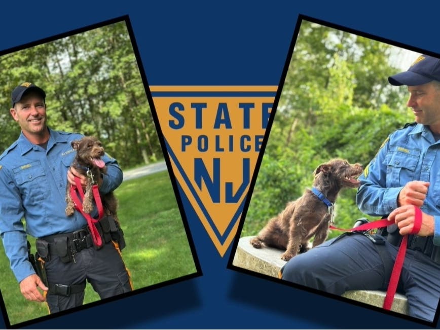 Distressed Dog Struggling In Water Rescued By NJ State Police In ...