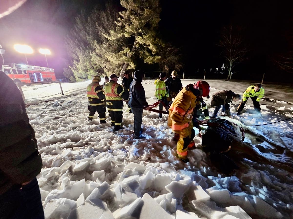 Firefighters Rescue Fallen Horse In Snow In Hunterdon County ...