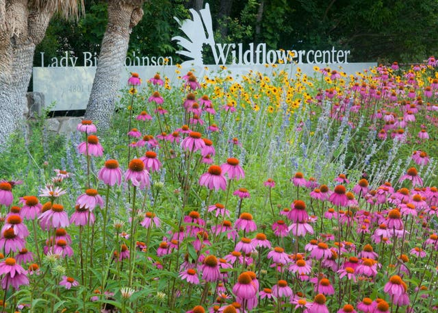 Lady Bird Johnson Wildflower Center Designated Texas State Botanic ...