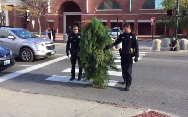 See Police Arrest a Living Tree in Middle of the Street | Augusta, ME Patch
