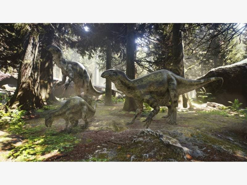 Researchers Find Oregon's First Fossil Of Land-Based Dinosaur ...