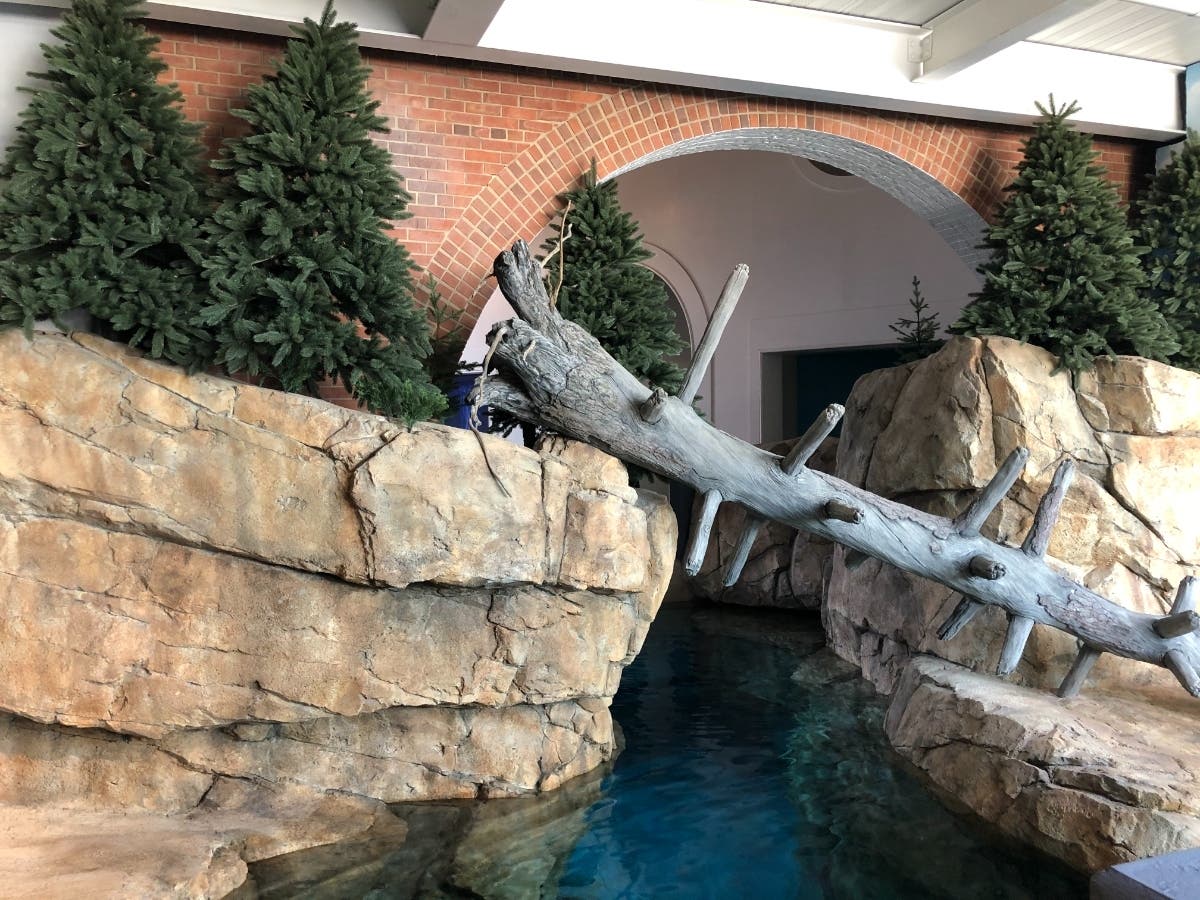 Massive New Seal Exhibit Unveiled At Norwalk's Maritime Aquarium ...