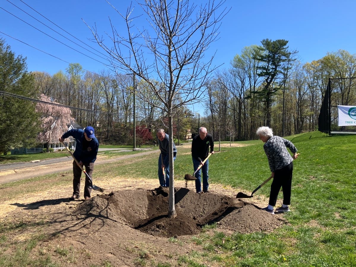 Trumbull Celebrates Arbor Day With Tree Planting Ceremony: PHOTOS ...