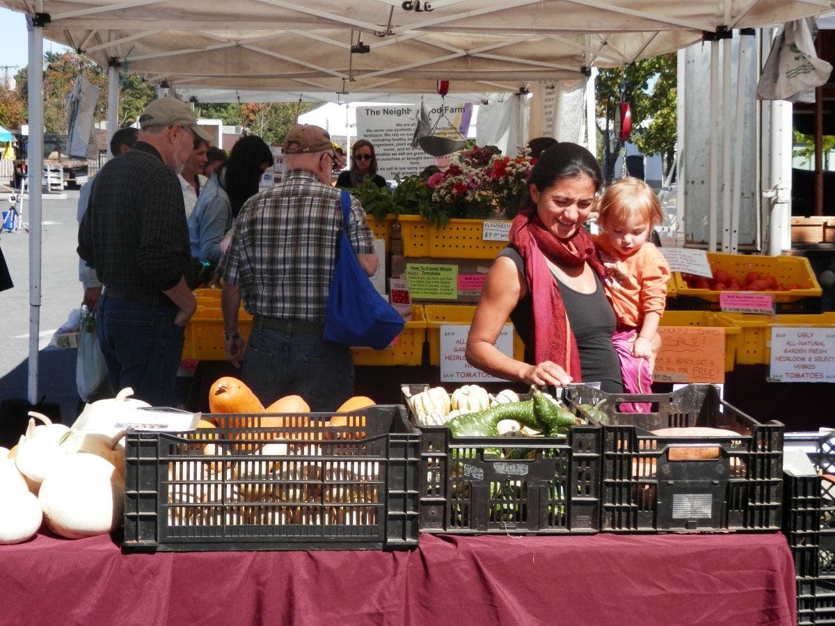 Harvest Time at the Needham Farmers Market this Sunday | Needham, MA Patch