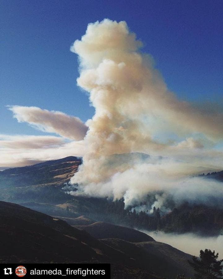 Soberanes Fire: Monterey County Blaze Grows, State Parks Shut Down ...