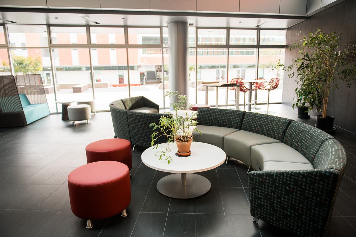 Palomar College Unveils New Library & Resource Center | Escondido, CA Patch