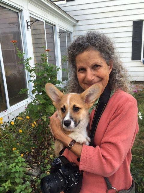 Tovah Martin, Acclaimed Horticulturalist Entertained and Informed ...
