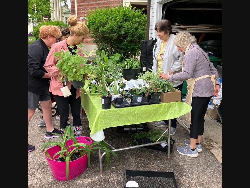 One Day Only: Annual Nashua Garden Club Plant Sale, Sat. May 17th ...