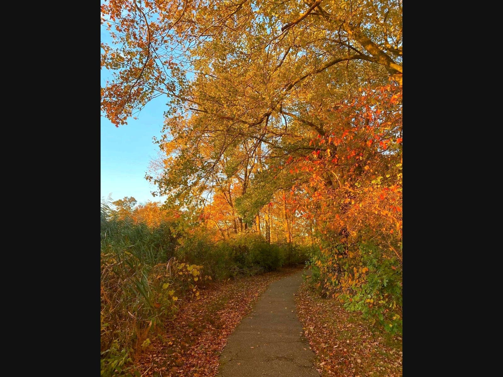 Minnesota's Dry Fall Continues: Weather Forecast | Minneapolis, MN Patch
