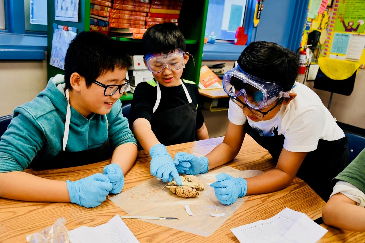 Brainy 6th Graders Take On Medical Detective Work | Diamond Bar, CA Patch
