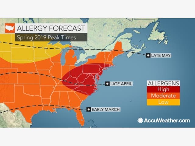 Allergy Forecast: Here's When Season Will Peak In California | San Juan ...