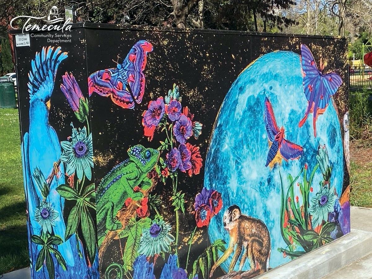 Temecula Artists Wanted In Street Beautification Project: How To Enter ...