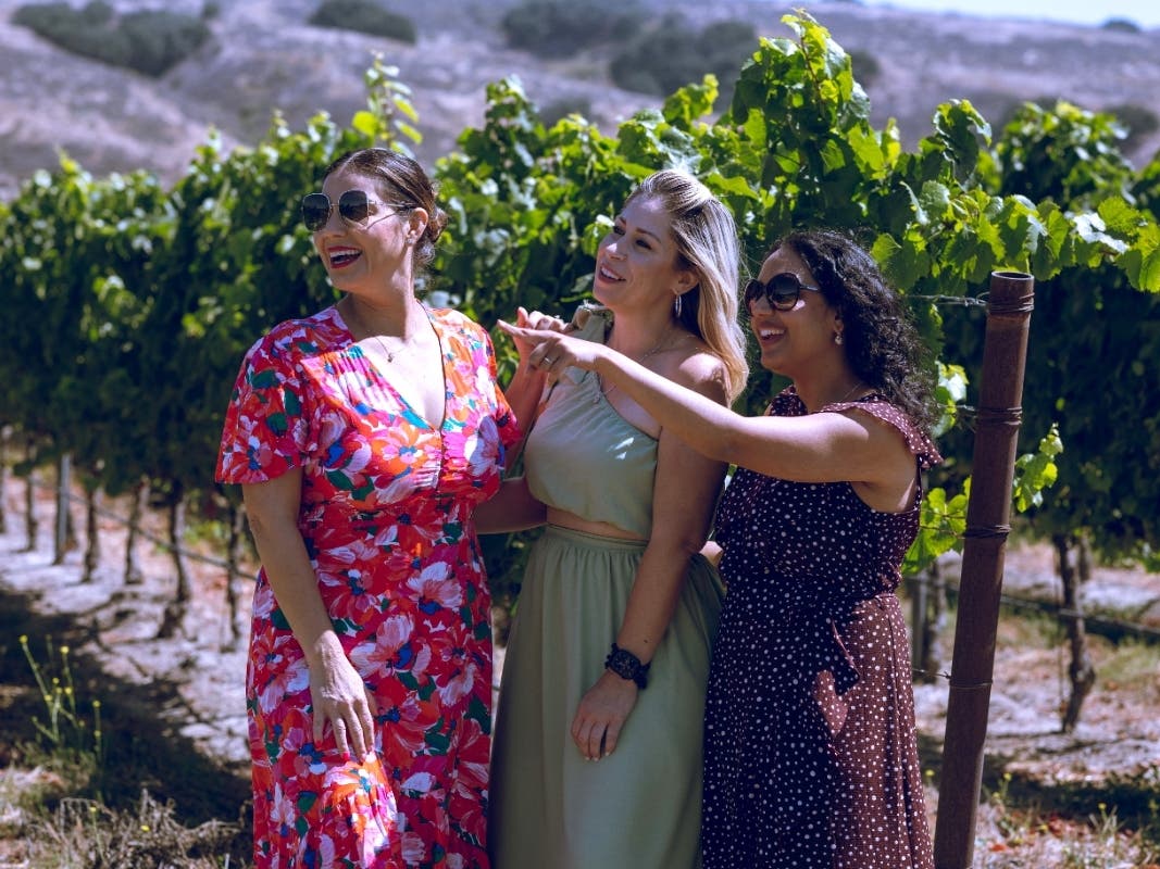 Grapeline Wine Tours Expands Santa Barbara Wine Country Offerings ...