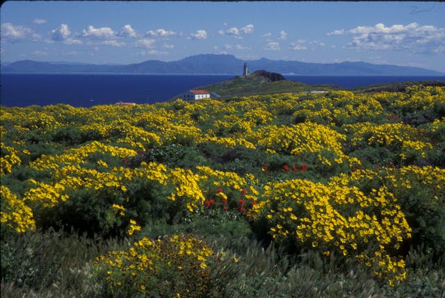 13 California Islands To Put On Your Summer Must-Visit Bucket List ...