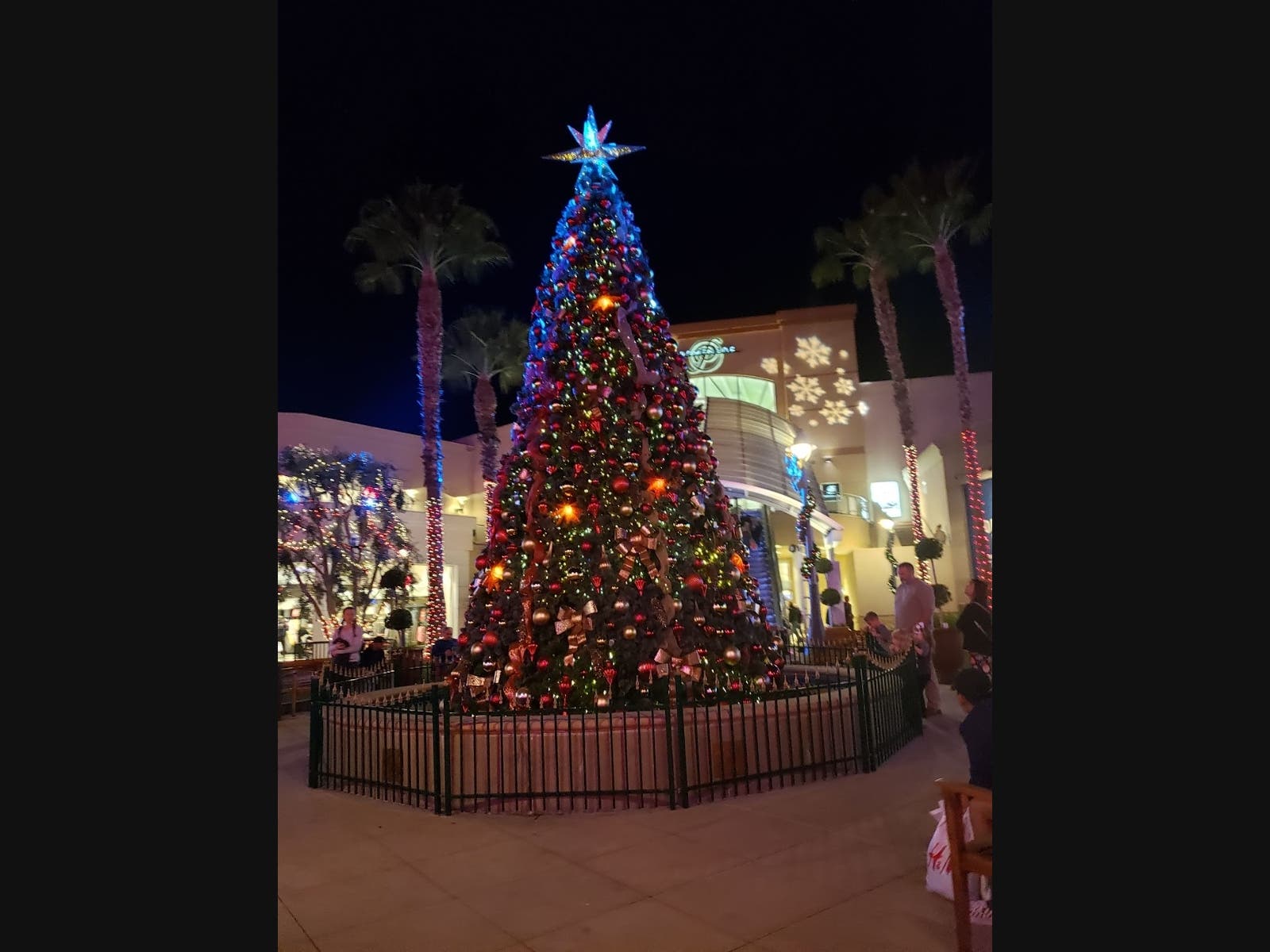 Christmas Tree Lighting This Weekend 'Rain Or Shine' At Promenade ...