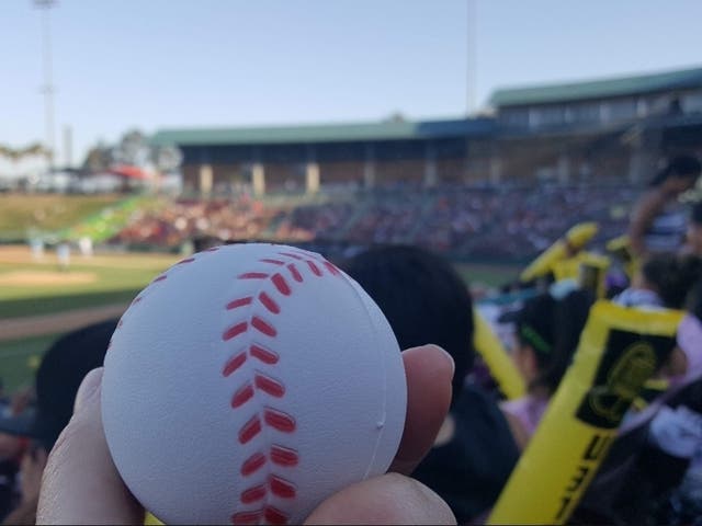 Beloved Storm Baseball Emcee To Bid Farewell To Lake Elsinore | Lake ...