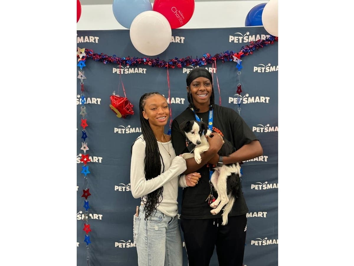 PetSmart's National Adoption Week: Adoptable Pets Heading To these ...