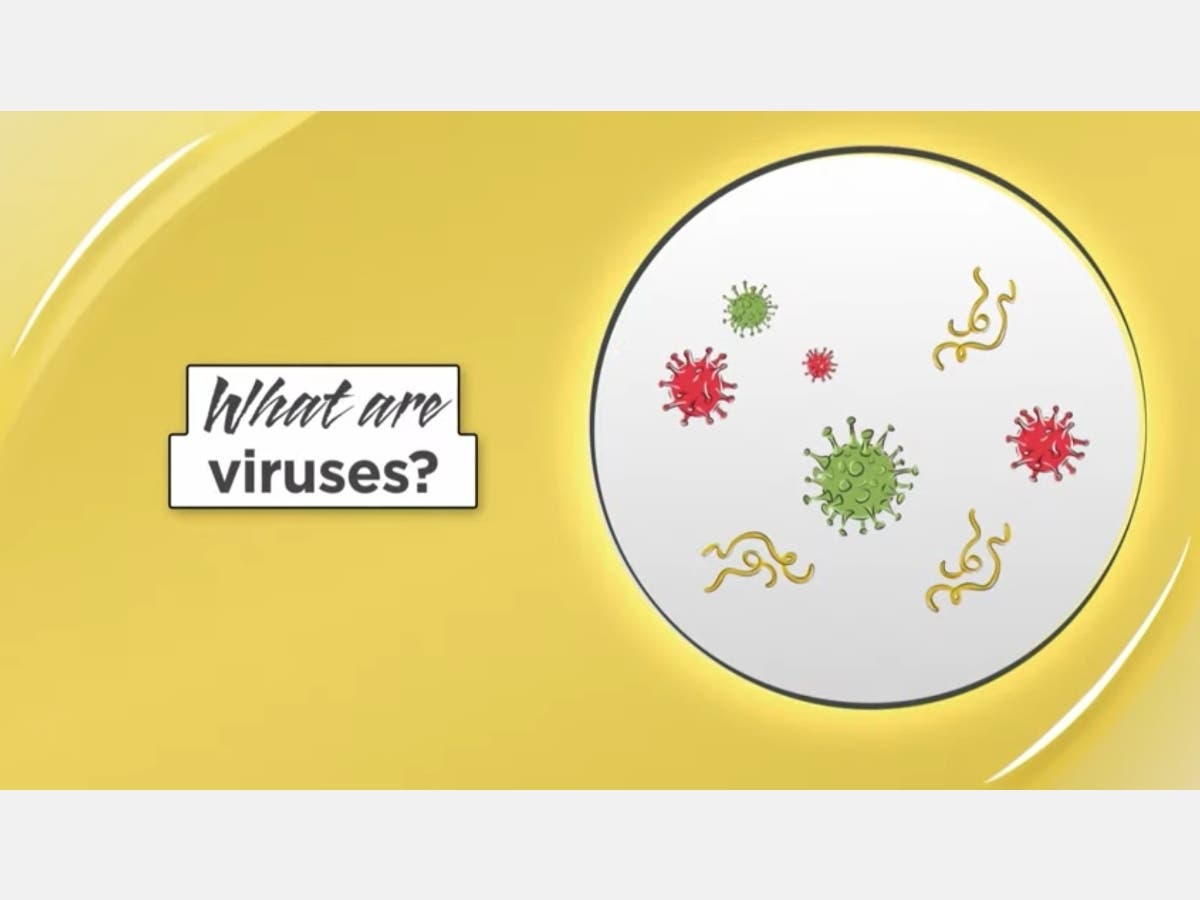 New Scientology Video Illustrates How Bacteria and Viruses Spread | Los ...