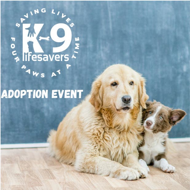 Jul 19 | K-9 Lifesavers Adoption event | Silver Spring, MD Patch