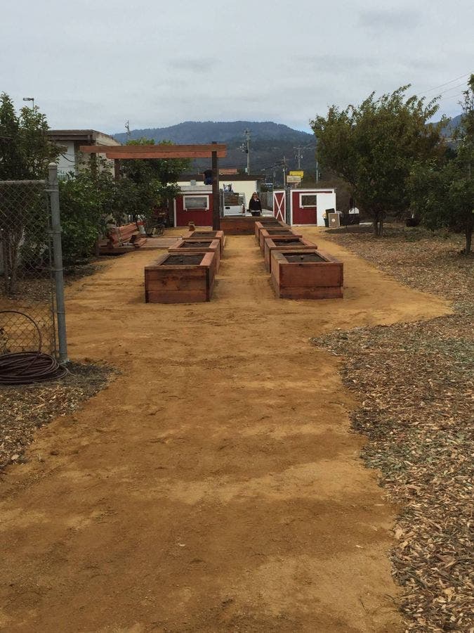 YMSL Crystal Springs Ultimate Gift Philanthropy Work | San Mateo, CA Patch