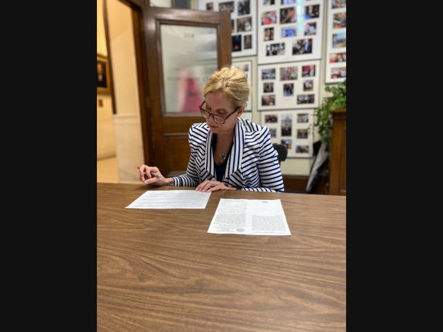 Janet Stevens files for Executive Council | Exeter, NH Patch