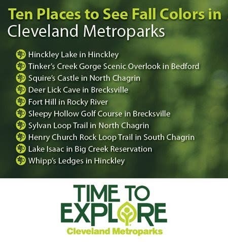 Ohio Fall Foliage 2018: Leaves Are At Peak Color | Cleveland, OH Patch