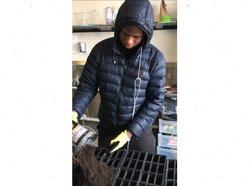 Sustainable Soil Helps Boys & Girls Club Of Cleveland Grow | Cleveland ...