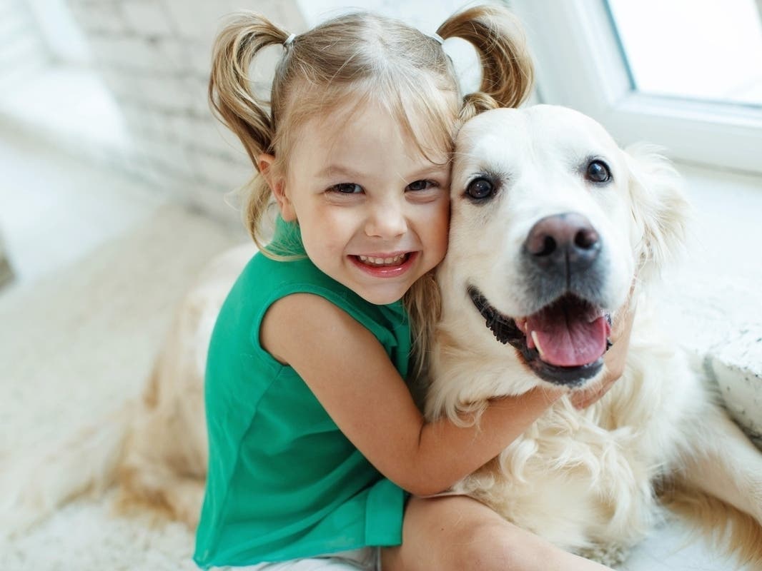 Dog Adoption Fees Waived Wednesday At Pennsylvania SPCA Philadelphia