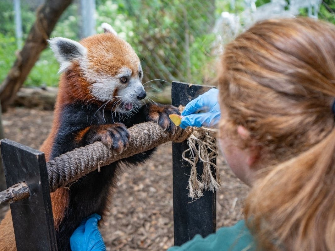 The Philly Zoo Is Turning 150 Years Old, Here's How It's Celebrating ...