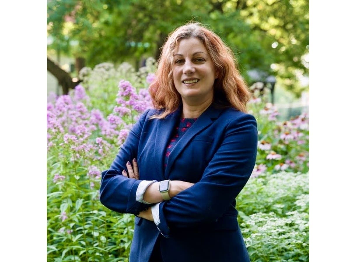Elizabeth Romaine: Media Borough Council Candidate | Media, PA Patch