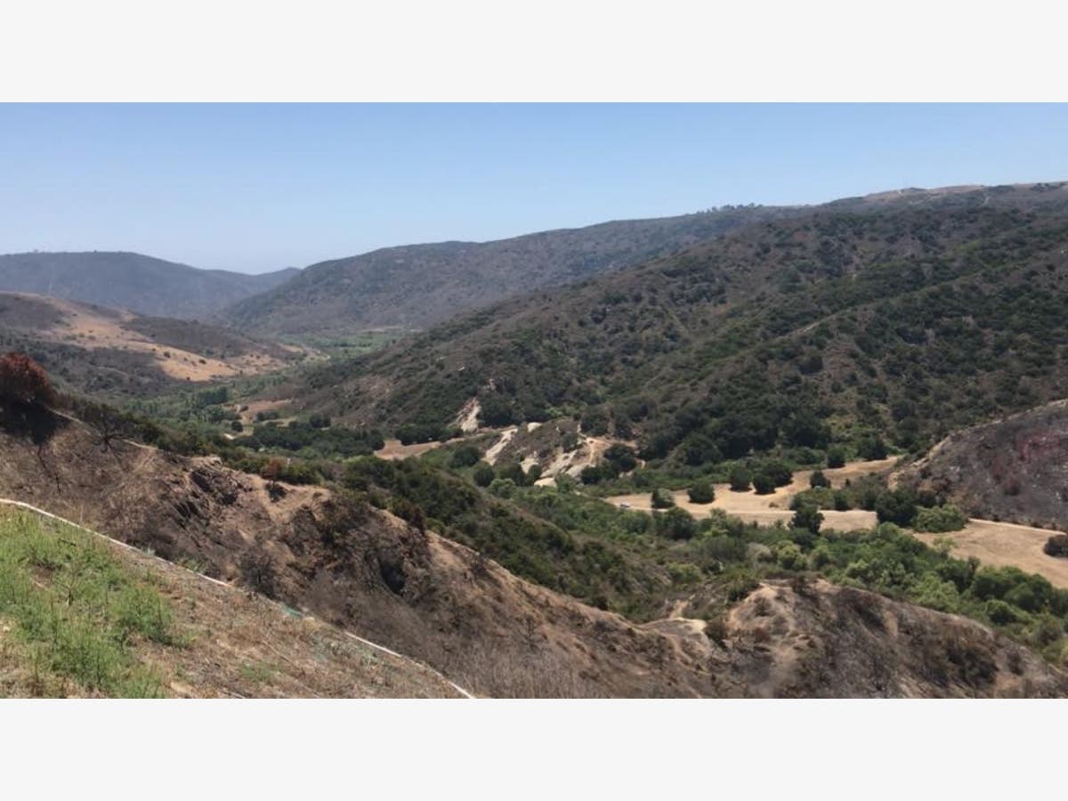 Aliso Fire Aftermath: Wilderness Park Reopens 7 am, OC Parks Says ...