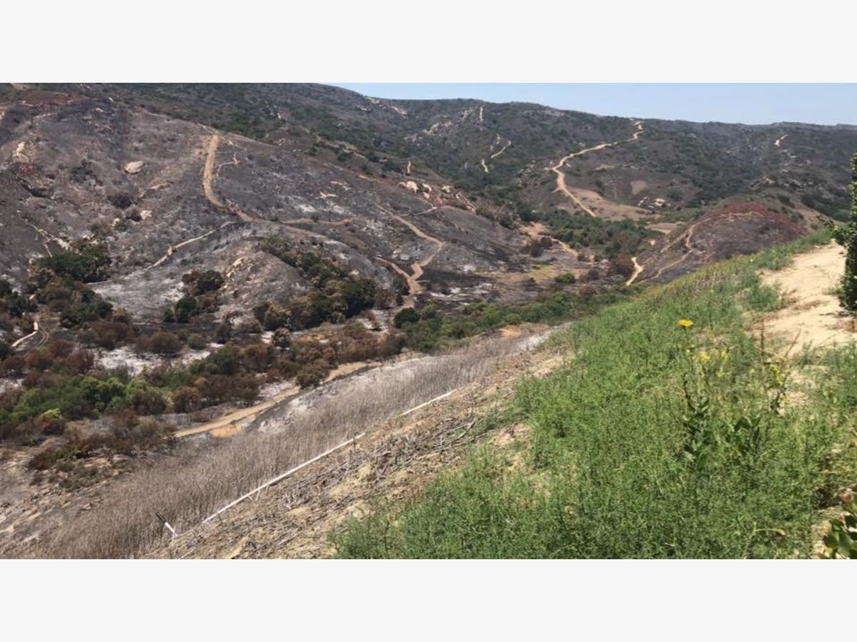 Aliso Fire Aftermath: Wilderness Park Reopens 7 am, OC Parks Says ...