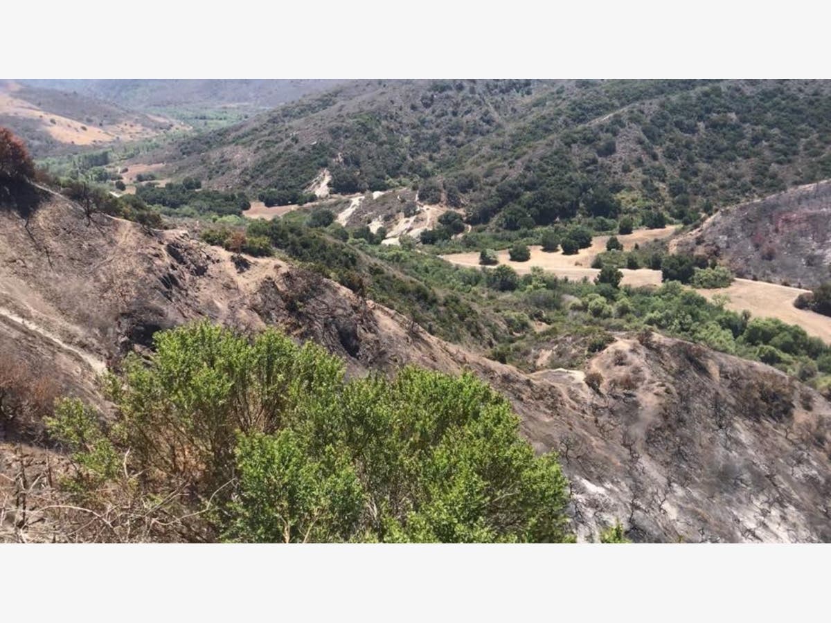 Aliso Fire Aftermath: Wilderness Park Reopens 7 am, OC Parks Says ...