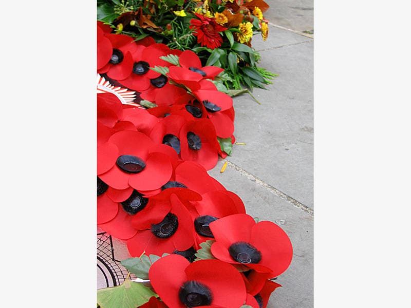 VFW Veteran Shares Meaning of Remembrance Poppy in U.S., World ...