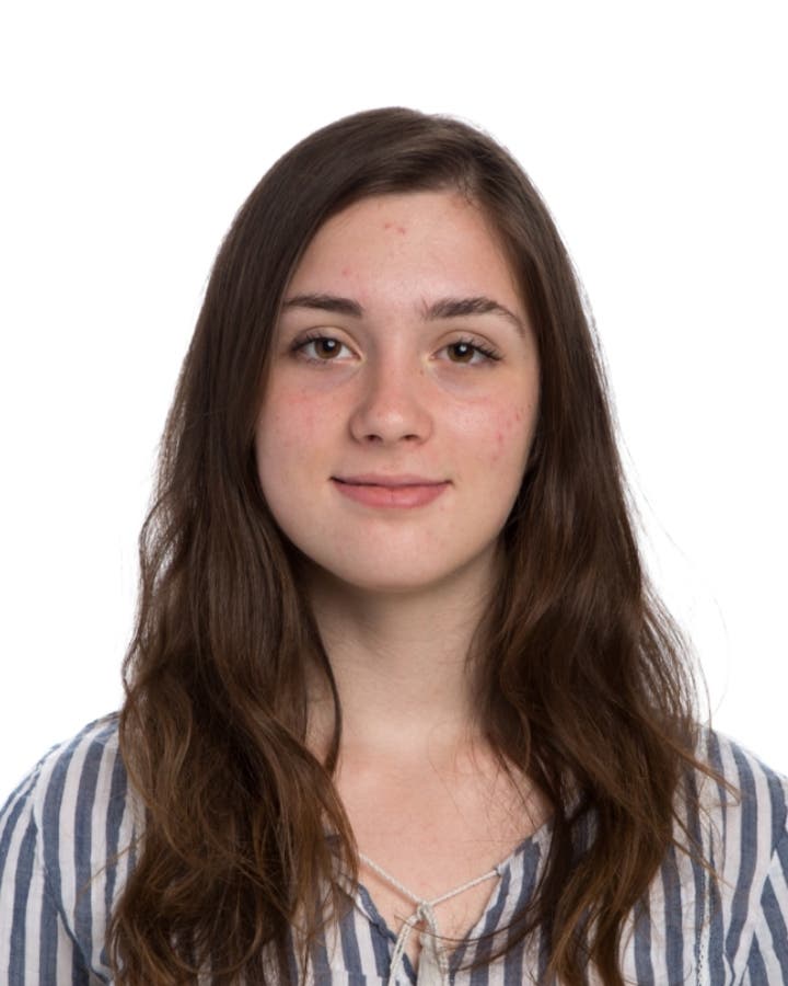 Elgin Academy Students Named Illinois State Scholars | Elgin, IL Patch