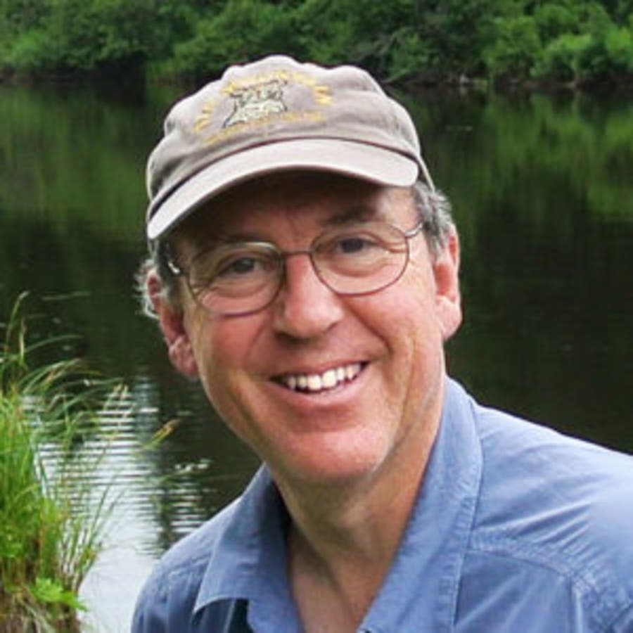 Who Is Coming to Whitelam Friday? Owls Of Course | Reading, MA Patch