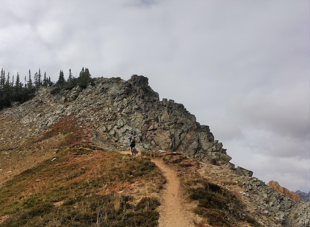 Washington Hiking Mishaps Used For New Survival Guide | Seattle, WA Patch