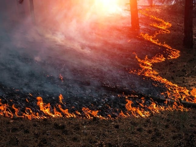 King County Burn Ban Issued By Fire Marshal | Seattle, WA Patch