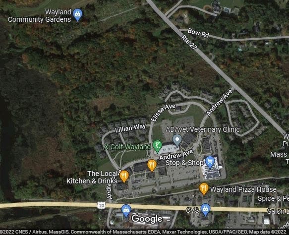 Wayland Acquires Town Center Land, Making Way For New Community Center ...