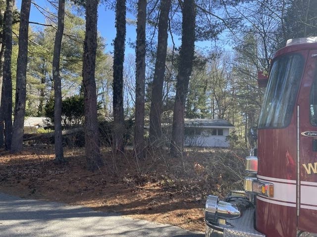 Tree Partially Crushes Wayland Home Amid Arctic Airmass Event | Wayland ...