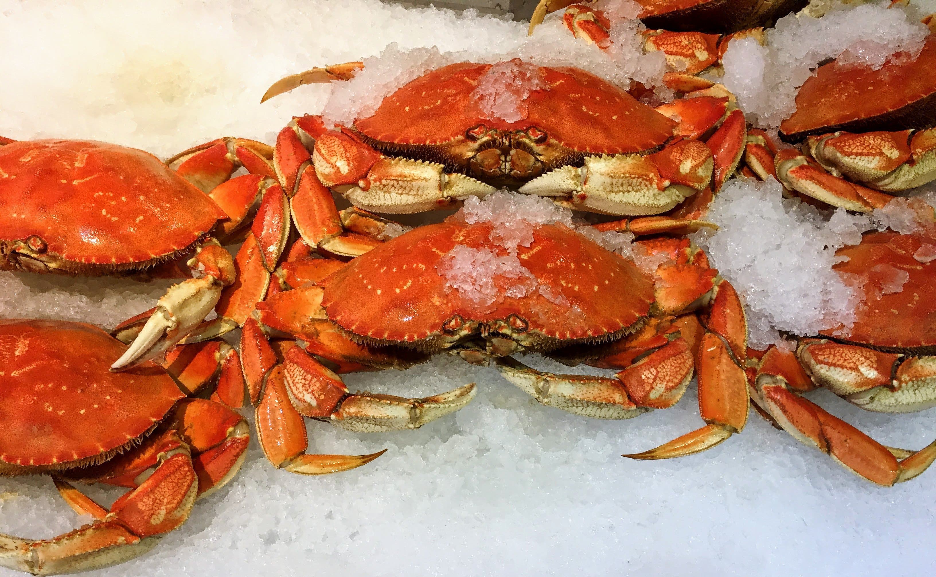 Mar 28 | Knights of Columbus 12th Annual Crab Feed and Charity ...