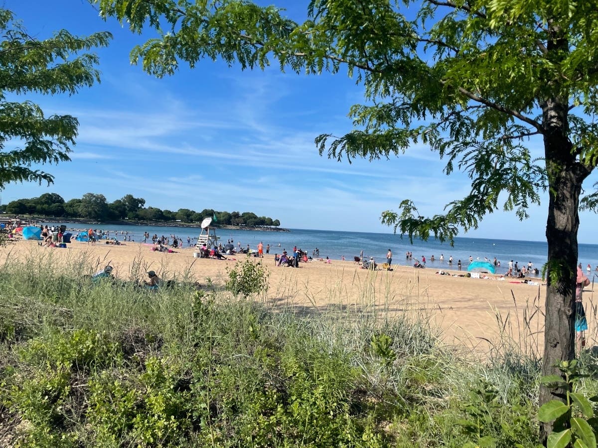 2024 Chicago Area Summer Beach Guide to Lake Michigan's Best Beaches ...