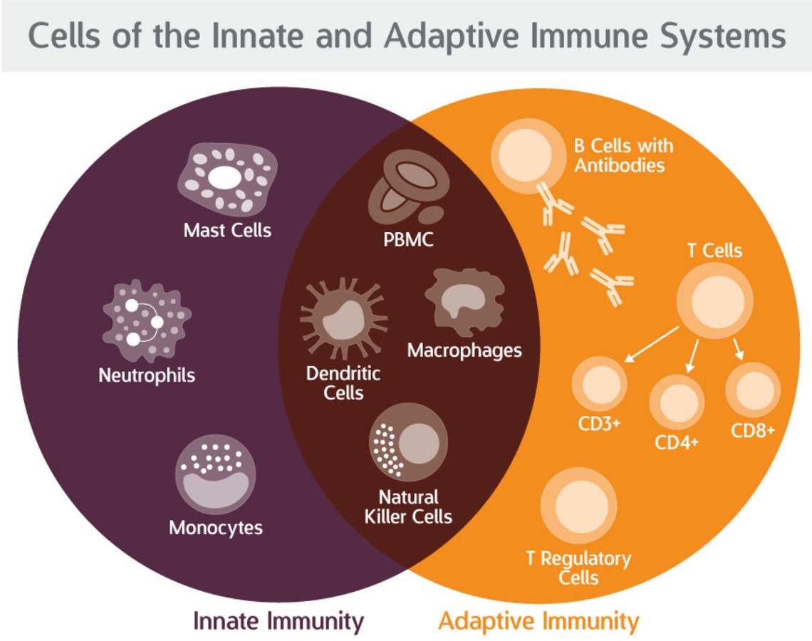 Adaptive System Work Adaptive System Work