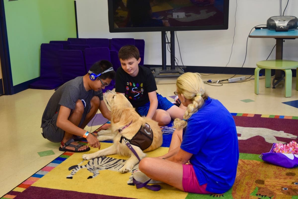 NEDSRA has a PAWsitive Experience at Addison Public Library | Elmhurst ...
