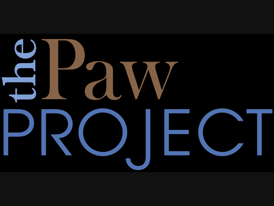 The Paw Project Advocating for California To Ban Cat Declawing | Los ...