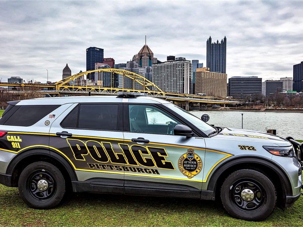 Pittsburgh Man Arrested After Kicking Dog In Face: Police | Pittsburgh ...