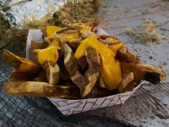 Kennywood Worm Eating Contest Returns With New Twist | Pittsburgh, PA Patch