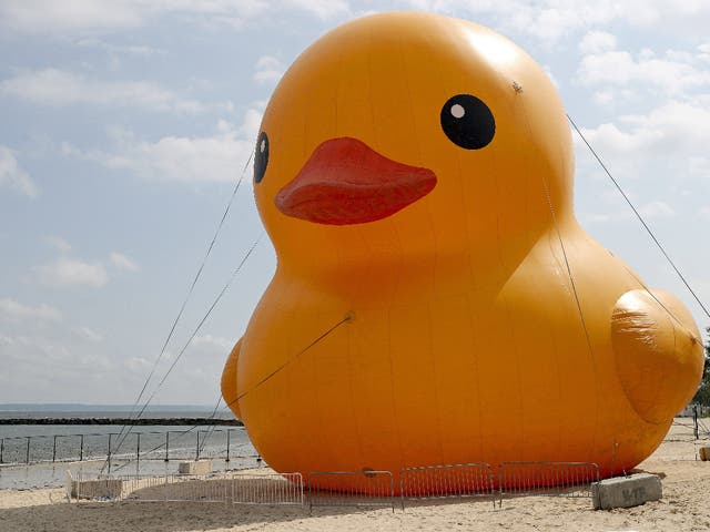 World's Largest Rubber Duck Returning To Pittsburgh Area | Pittsburgh ...