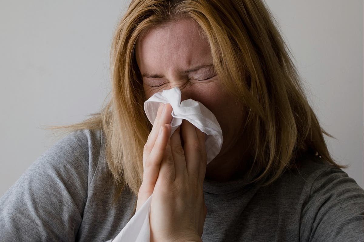 No Flu No FOMO | Novi, MI Patch